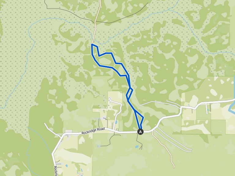 Circuito Green Swamp East Trail — Green Swamp Wildlife Management Area ...